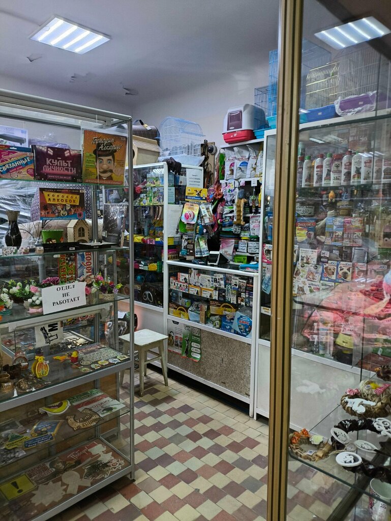 Petshop Кот и пёс, Krasnokamsk, foto