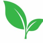 Ecowoods-st (Zagorodnaya Street No:9/4), kereste üretim ve satış şirketleri  Stupino'dan