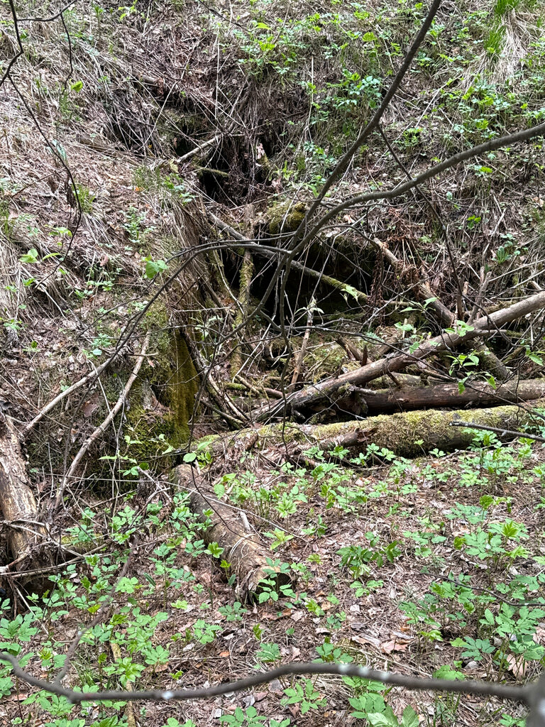 Turistik yerler Пещера Чёртова дыра, Başkurdistan, foto