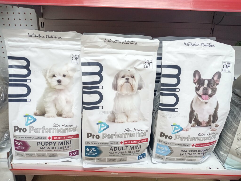 Petshop Bulut Petshop, İstanbul, foto