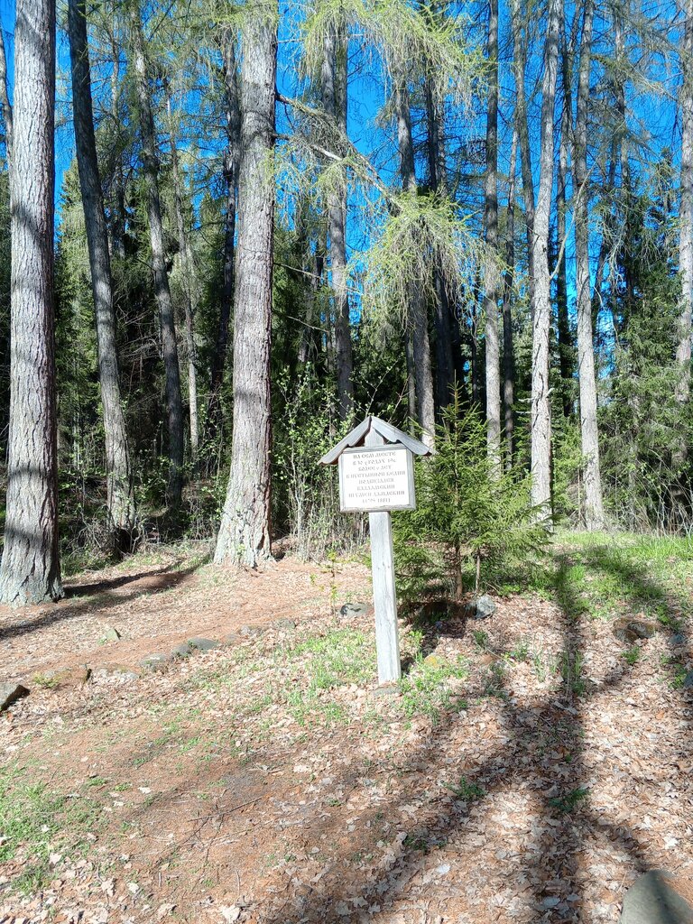 Turistik yerler Place of solitude of Hegumen Damaskin, Karelya, foto