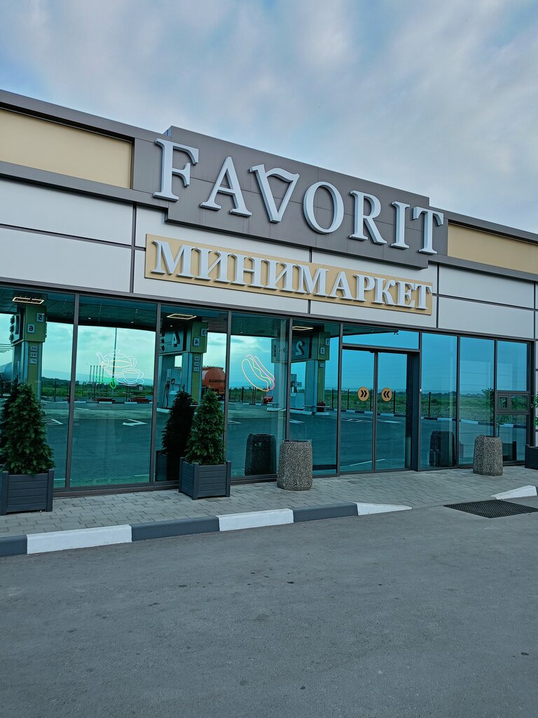 Benzin istasyonu Favorit, Kuzey Osetya‑Alanya, foto