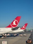 Turkish Airlines Operation Center (İstanbul, Arnavutköy, İstanbul Havalimanı), havacılık şirketleri  Arnavutköy'den