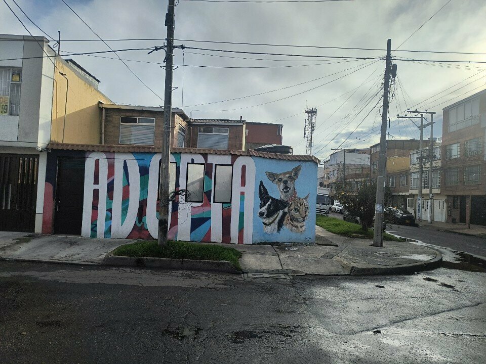 Evcil hayvan yetiştiricileri Pobrecitos Pet, Bogota, foto