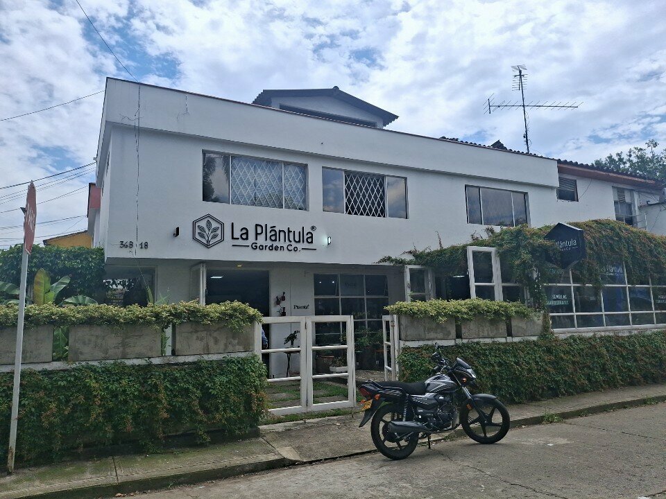 Sera ve bahçe ürünleri La plántula, Cali, foto