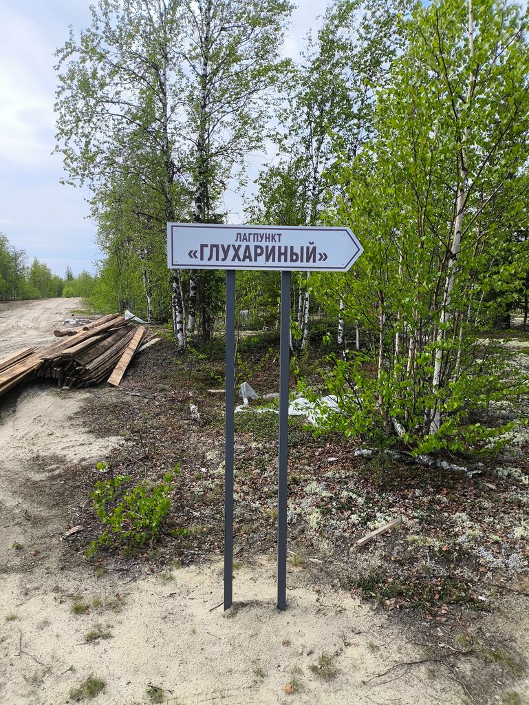 Unutulmaz olayların yeri Лагерный пункт стройки № 501 Разъезд Глухариный, Yamal‑Nenets Özerk Bölgesi, foto