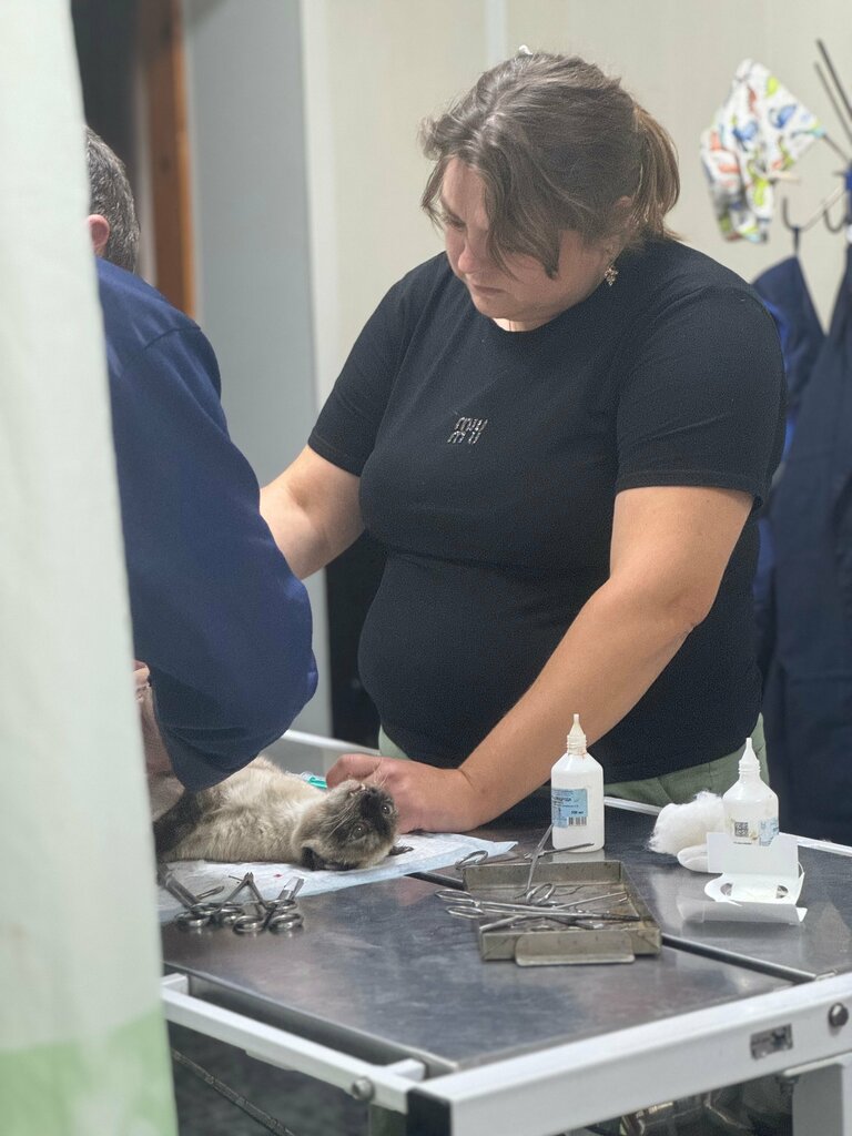 Veteriner klinikleri Новооскольская станция по борьбе с болезнями животных, Novy Oskol, foto