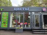 Цветы (Gastello Street No:47С), çiçekçiler  Samara'dan