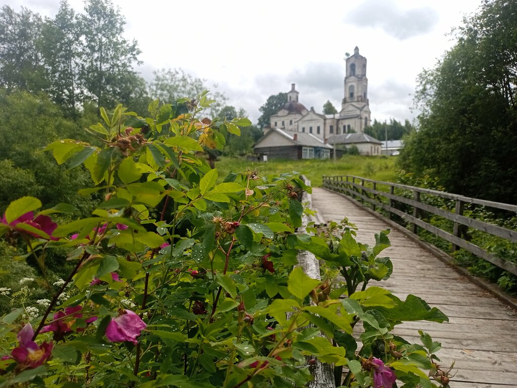 Ortodoks kiliseleri Церковь Илии Пророка, Vologodskaya oblastı, foto