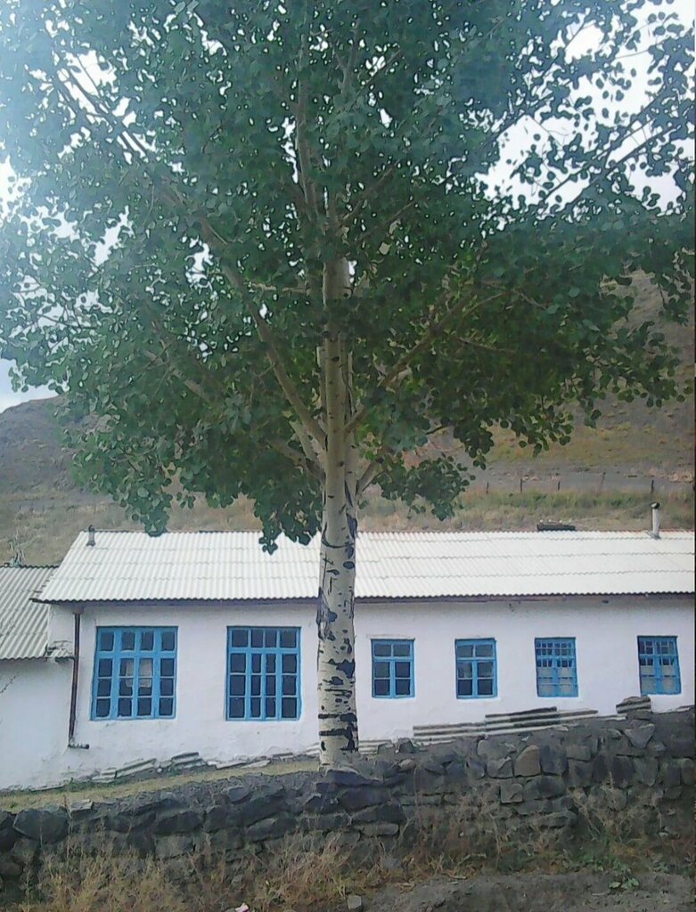 Ortaokul МКОУ Аракульская среднеобразовательная школа, Dağıstan, foto