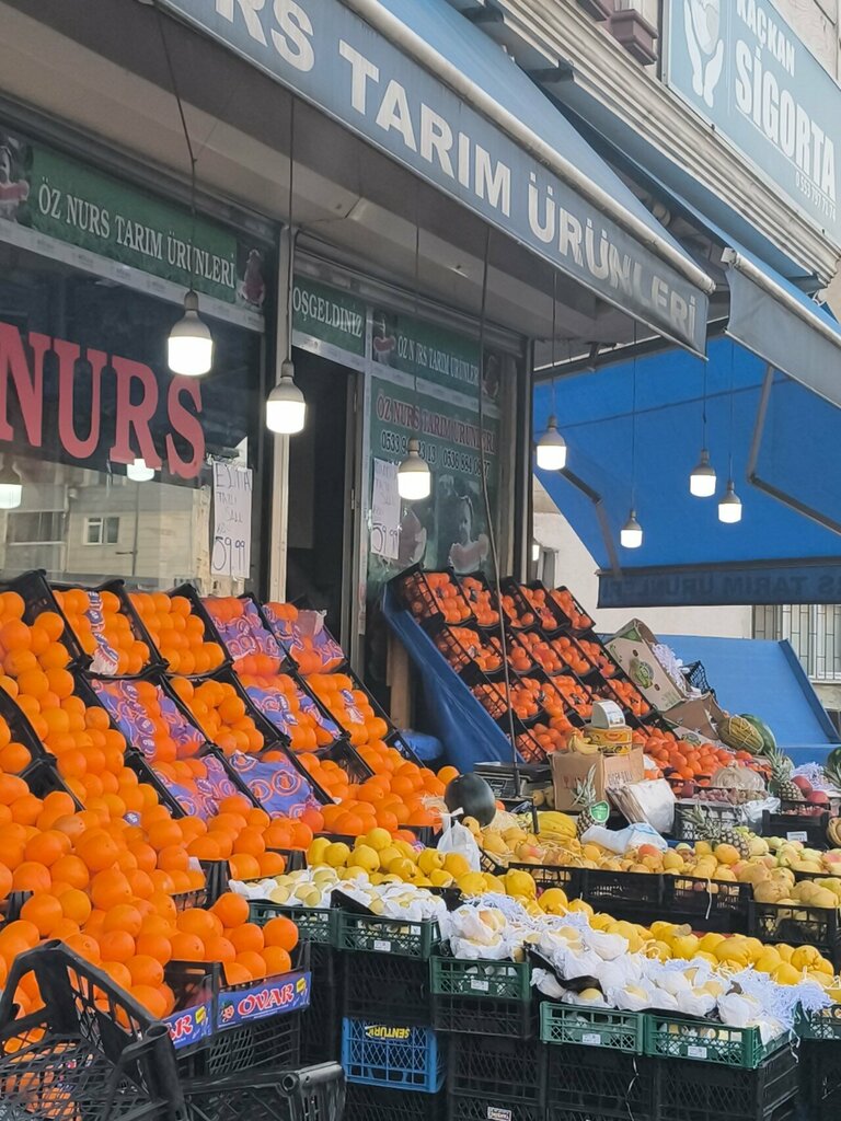 Manavlar Öz Nurs Tarım Ürünleri, İstanbul, foto