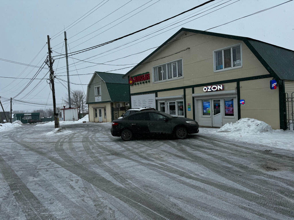 Teslimat noktası Ozon, Orenburgskaya oblastı, foto