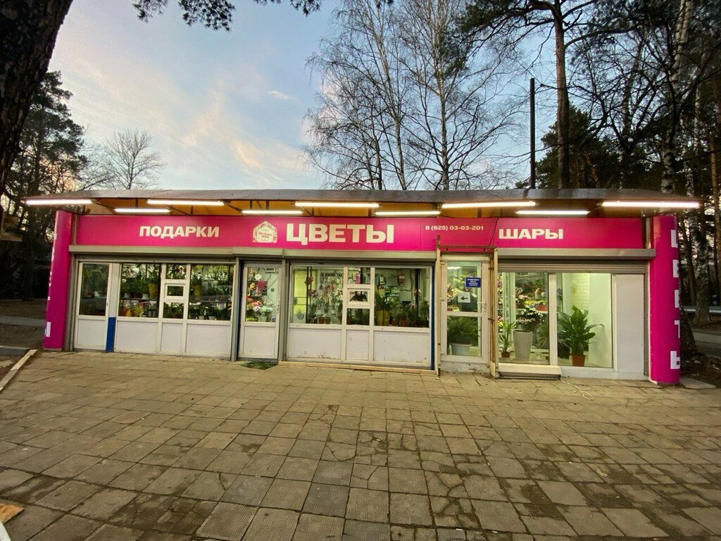 Çiçekçiler Цветочный домик, Balaşiha, foto