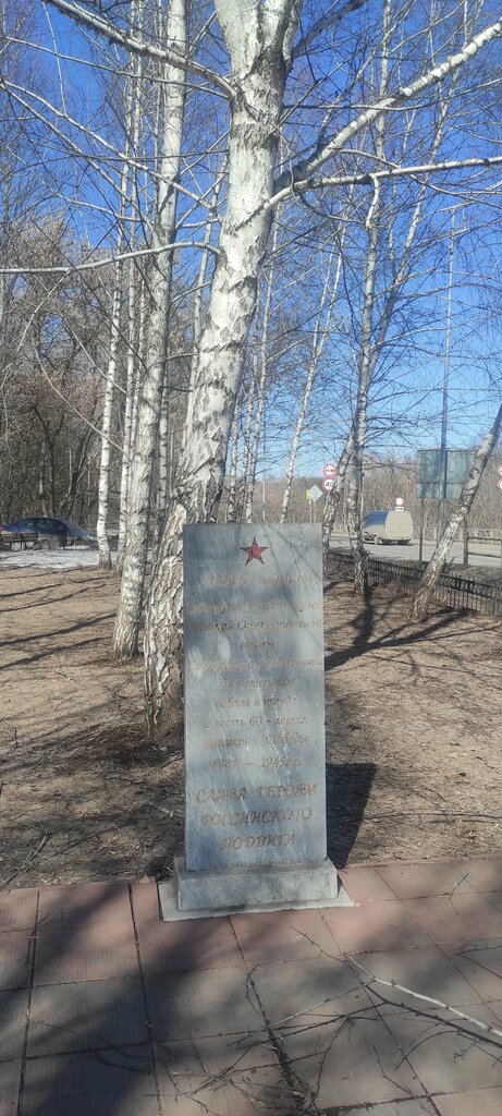 Anıt, heykel Слава ветеранам войны и труда в честь 60-летия Победы, Samara, foto