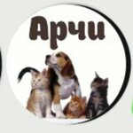 Archi (ulitsa Druzhby No:1к1, mikrorayon Zenino ZhK Samolyot), petshop  Liubertsy'den