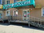 Сады России (Kirov street No:3), tohum satan yerler  Çeliabinsk'ten