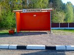 Полятичи (Bresckaja voblasć, Kobrynski rajon, Batchynski Rural Council, vioska Paliacičy, Novaya ulitsa), toplu taşıma durağı  Brestskaya oblastından