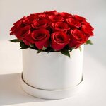 House of Flowers (42, Al Jreena Street, Al Quoz Industrial 3, Al Quoz Industrial, Hadaeq Mohammed Bin Rashid, Dubai), çiçekçiler  Dubai'den