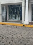 Montecarlo Haute Couture (Santa Cruz de la Sierra, Distrito Municipal 11, Subdistrito CIV, Velasco, 186), giyim mağazası  Bolivya'dan