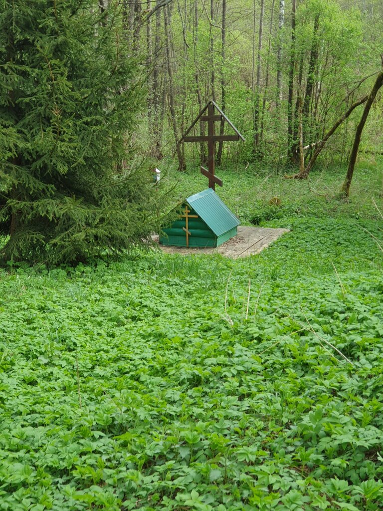 Pınar, çay Святой источник великомученицы Параскевы Пятницы, Smolenskaya oblastı, foto