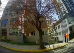 Security Post (Department of La Paz, Provincia Murillo, La Paz, Avenida 20 de Octubre, 1676), geçiş noktaları, güvenlik kontrol alanı  Bolivya'dan