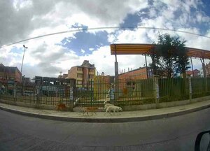 Plaza (Department of La Paz, Provincia Murillo, El Alto, Ex Tranca Rio Seco, Avenida 14 de Septiembre), meydan  El Alto'dan