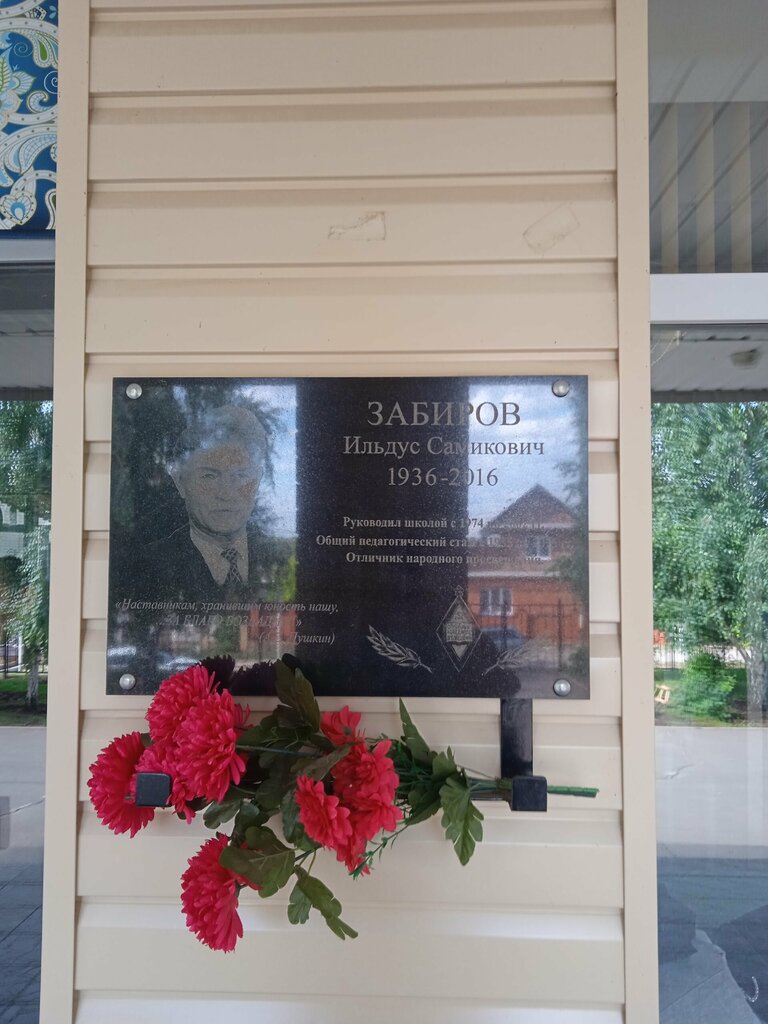 Anıt levhası, anıt taş Отличник народного просвещения Забиров Ильдус Самикович, Orenburgskaya oblastı, foto