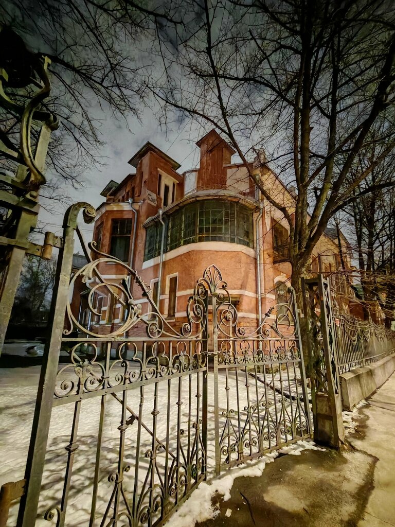 Turistik yerler Особняк М.В. Зива, Saint‑Petersburg, foto
