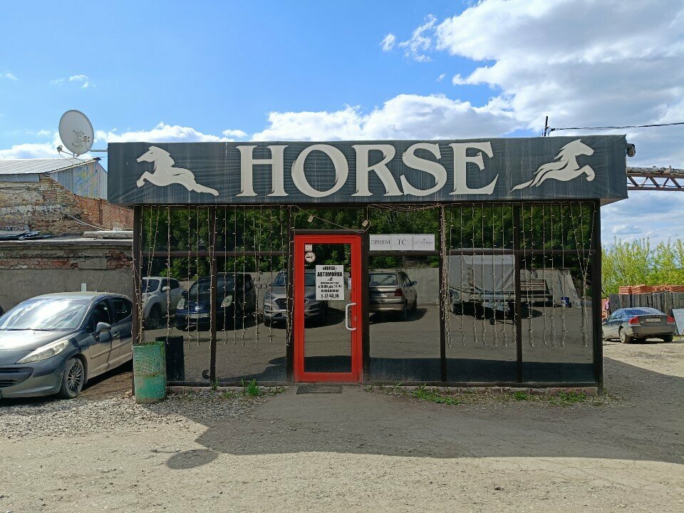 Oto yıkama Horse, Izhevsk, foto