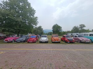 Sergi salonları, galeriler Sapanca Belediyesi Festival ve Fuar Alanı, Sapanca, foto