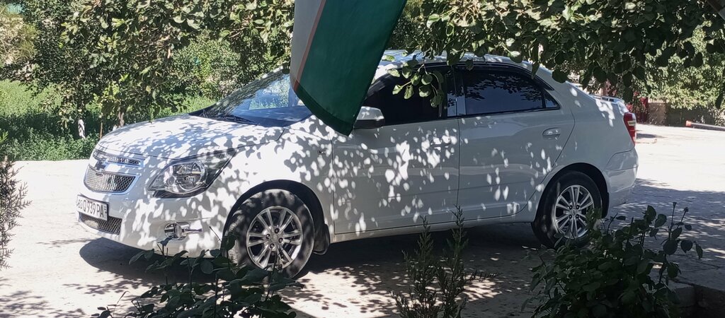 Sürücü kursları Driving School, Buhara eyaleti, foto