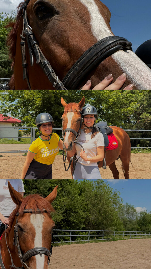 At ve binicilik kulüpleri Equestrian Sports Academy, Almatı eyaleti, foto