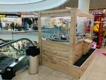 Doll Park (Leningradskiy Avenue No:38), oyun makinesi  Arhangelsk'ten