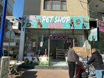 Pet Shop Lucky (Elmalı Mah., Şehit Binbaşı Cengiz Toytunç Cad., No:106C, Muratpaşa, Antalya), petshop  Antalya'dan