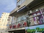 NN studio (Arif Mehdiev Street No:297), berberler  Bakü'den