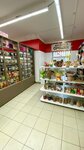 Крепкий орешек (Sovetskaya ulitsa No:21, Novovyatskiy rayon), kuruyemiş, atıştırmalık, kuru meyve  Kirov'dan