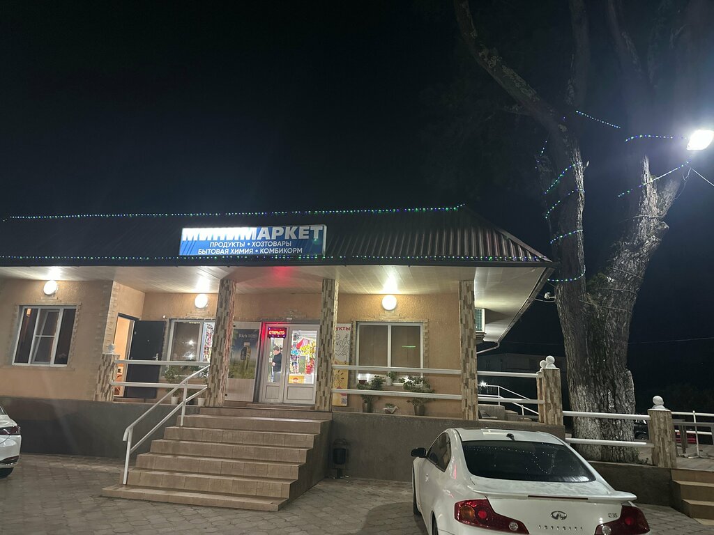 Mini-market Mixed goods store, Gulripş Bölgesi, foto