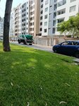 Casa EN Linea Inmobiliaria (Distrital San Borja, Avenida San Borja Norte, 772), emlak ofisi  Lima Bölgesi'nden