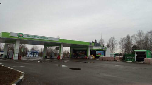 Benzin istasyonu Belorusneft, Mogiliovskaya oblastı, foto
