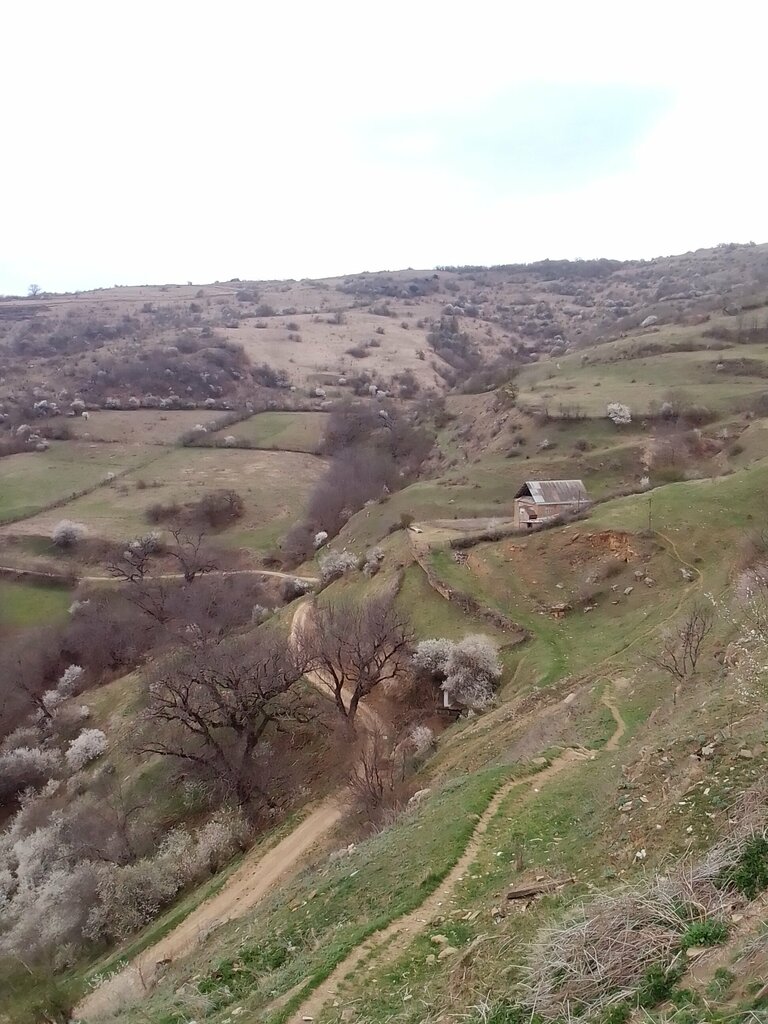 Aile sağlığı merkezi Амбулатория, здравпункт, медпункт, Dağıstan, foto