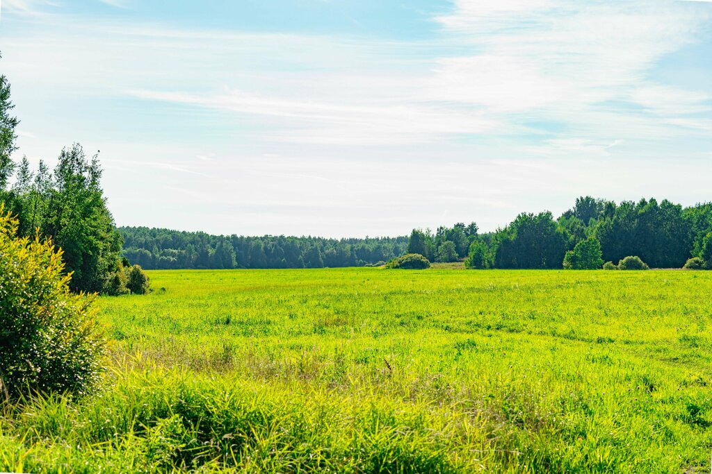 Arazi dizisi Про Левашово, Saint‑Petersburg, foto