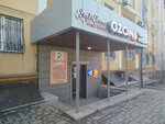 English lessons (Polonenko Street No:16), yabancı dil kursları  Volgograd'dan