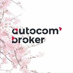 Autocom (Nizhneportovaya Street No:1), gümrük hizmetleri  Vladivostok'tan