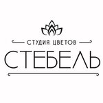 Стебель (Dzerzhinskogo Street No:6/2), çiçekçiler  Kazan'dan