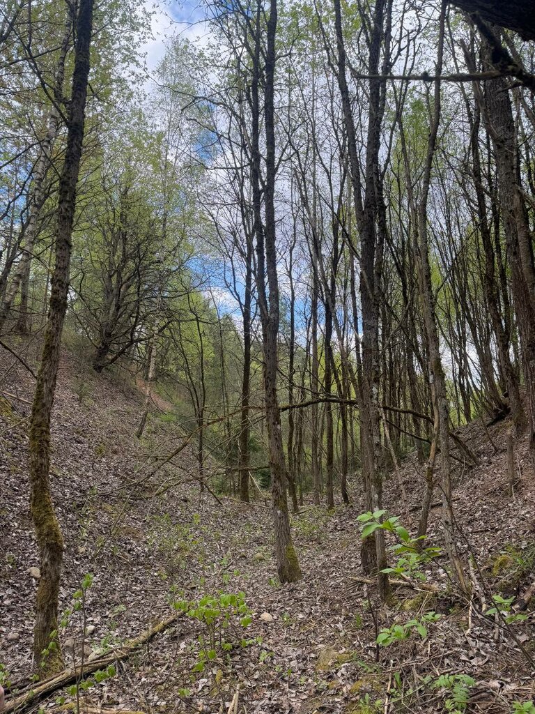 Dağ zirvesi Гора Тур, Minskaya oblastı, foto