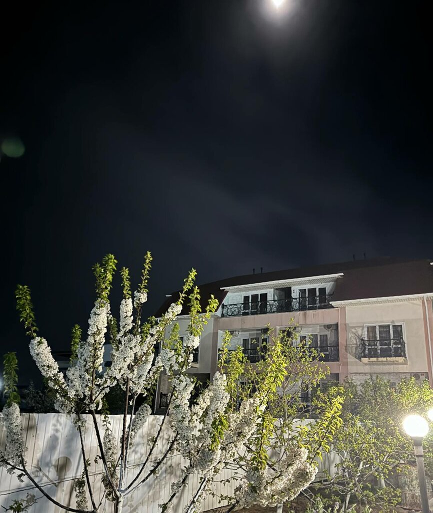 Resort oteller, tesisler Grafskaya Buhta, Kırım Cumhuriyeti, foto