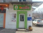 Tsentr boyevykh iskusstv Budokan (Bogdana Khmelnitskogo Street No:5/1), spor kulüpleri  Blagoveshchensk'ten