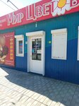 Мир Цветов (Altai Territory, Rubtsovsk, Altayskaya ulitsa), çiçekçiler  Rubtsovsk'tan