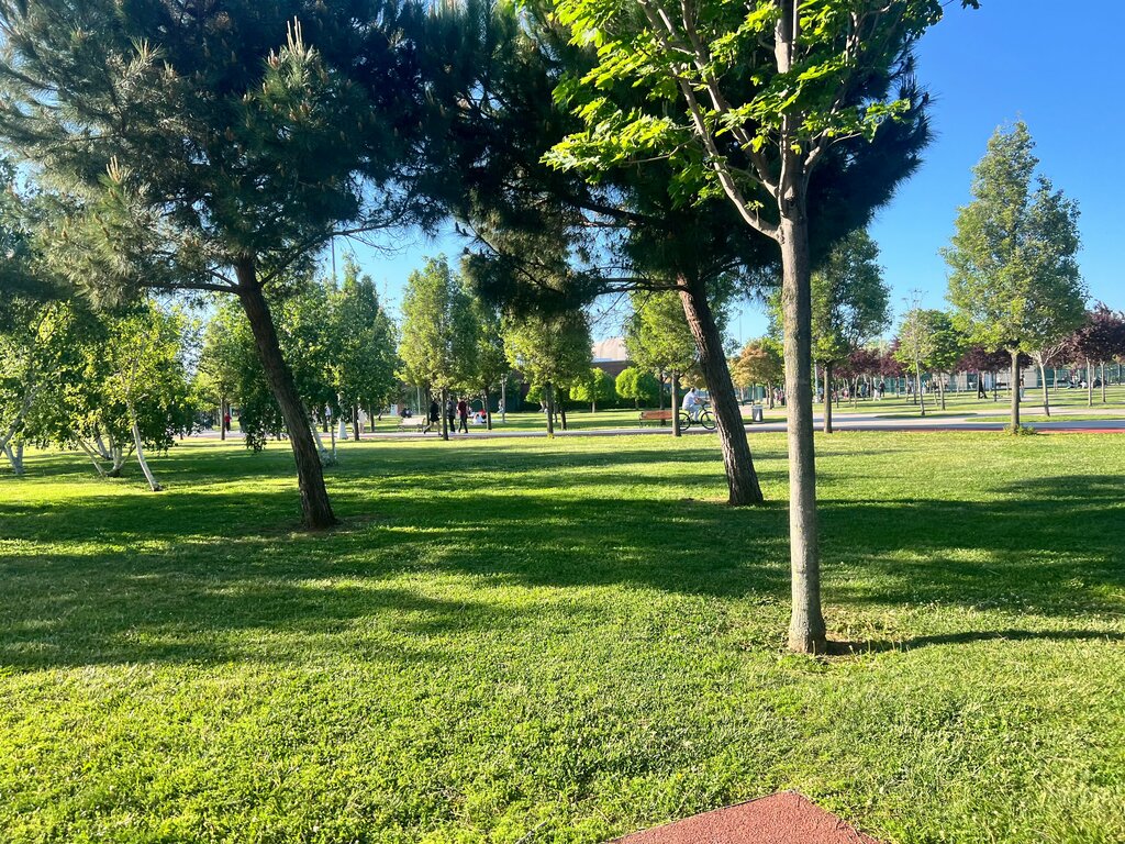Kültür ve eğlence parkları İdealtepe Sahil Parkı, İstanbul, foto
