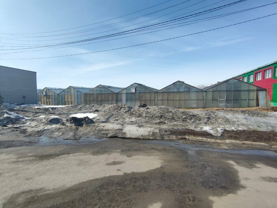 Express yağ değişim noktası Mobil 1 центр, Murmansk, foto